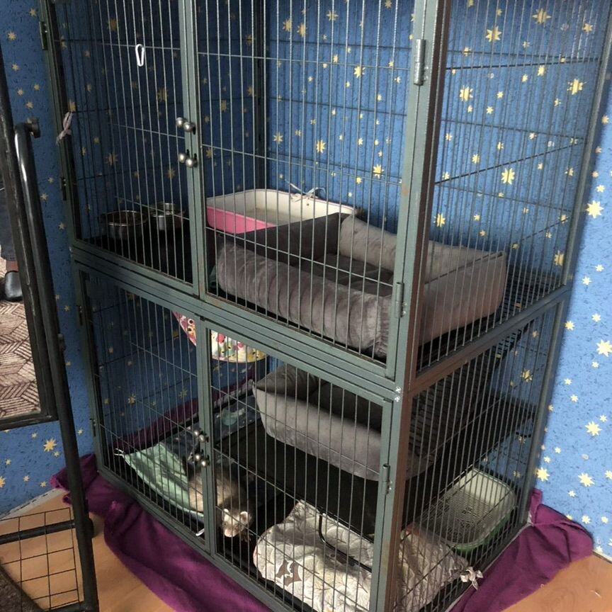 Клетка midwest ferret nation