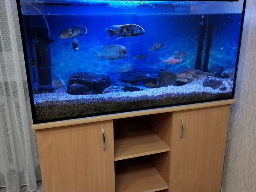 Аквариум с тумбой 240 л