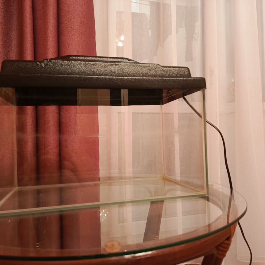 Аквариум/ Террариум