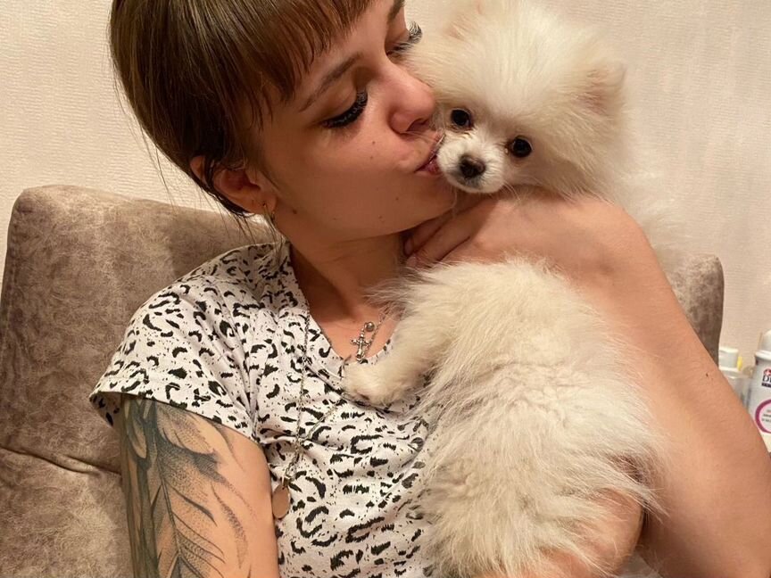 Продам щенка карликового шпица