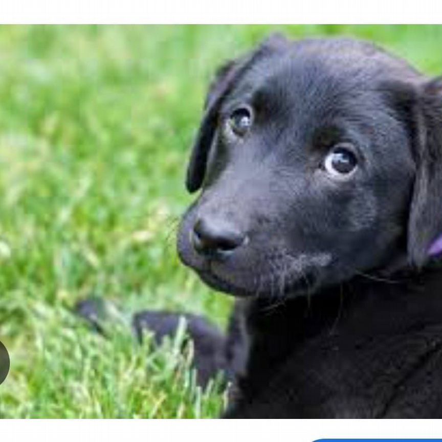 Ванечка 3 мес вырастет не большой