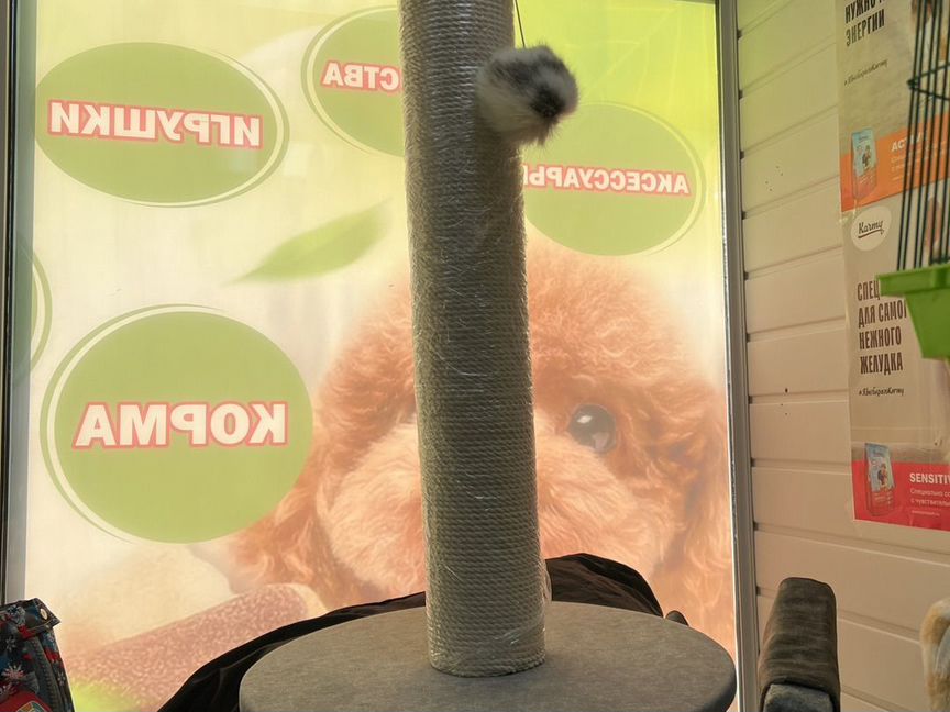 Когтеточка столбик хлопок