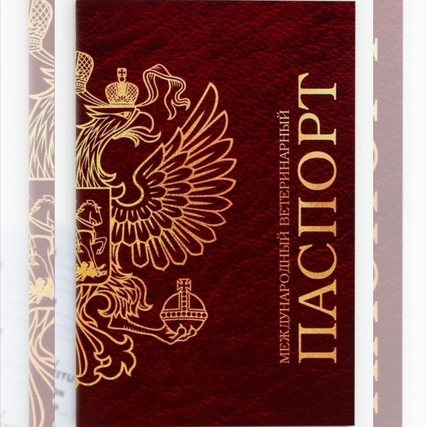 Бланк ветеринарного паспорта