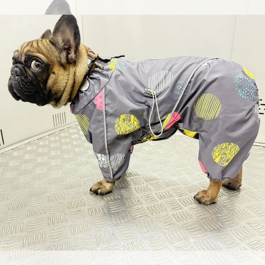 Комбинезон для французского бульдога (самка) р.35