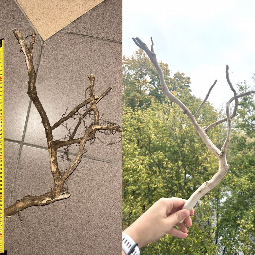 Корни калины и сирени ветки декор/для животных