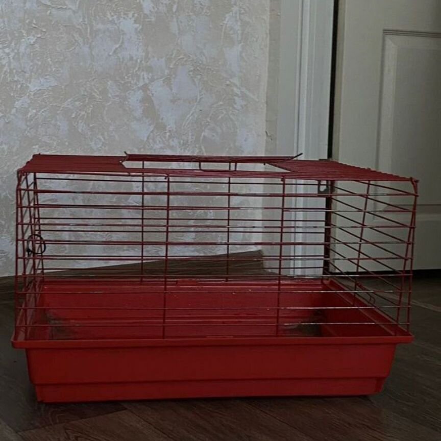 Клетка