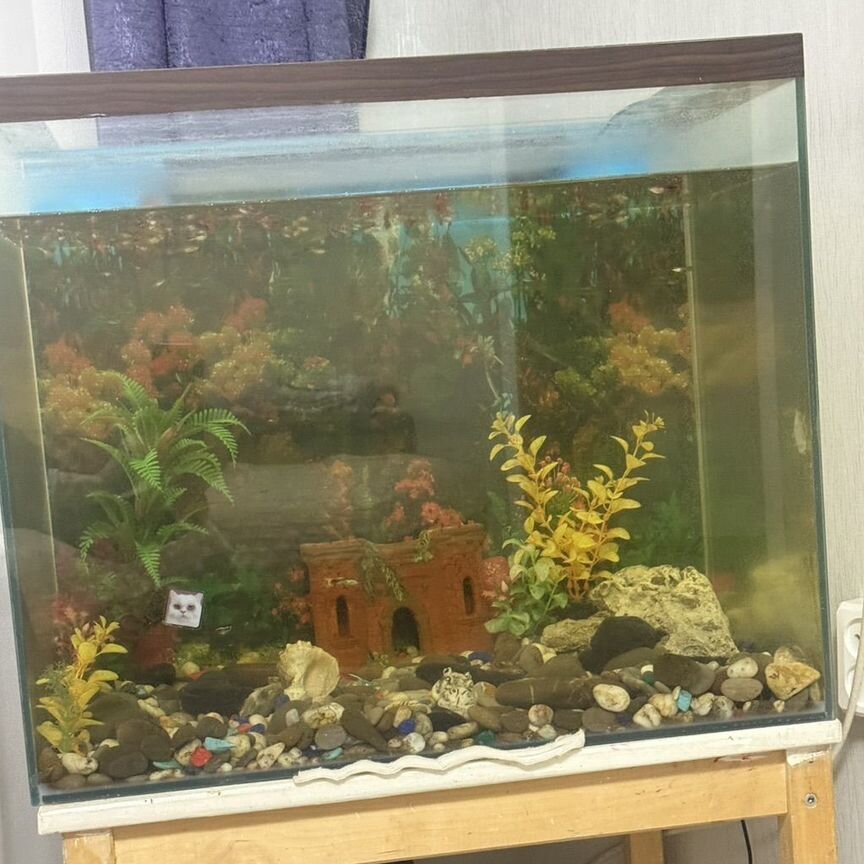 Аквариум с рыбками