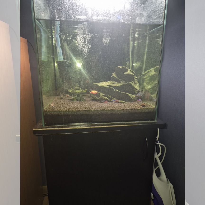 Аквариум 80л с тумбой