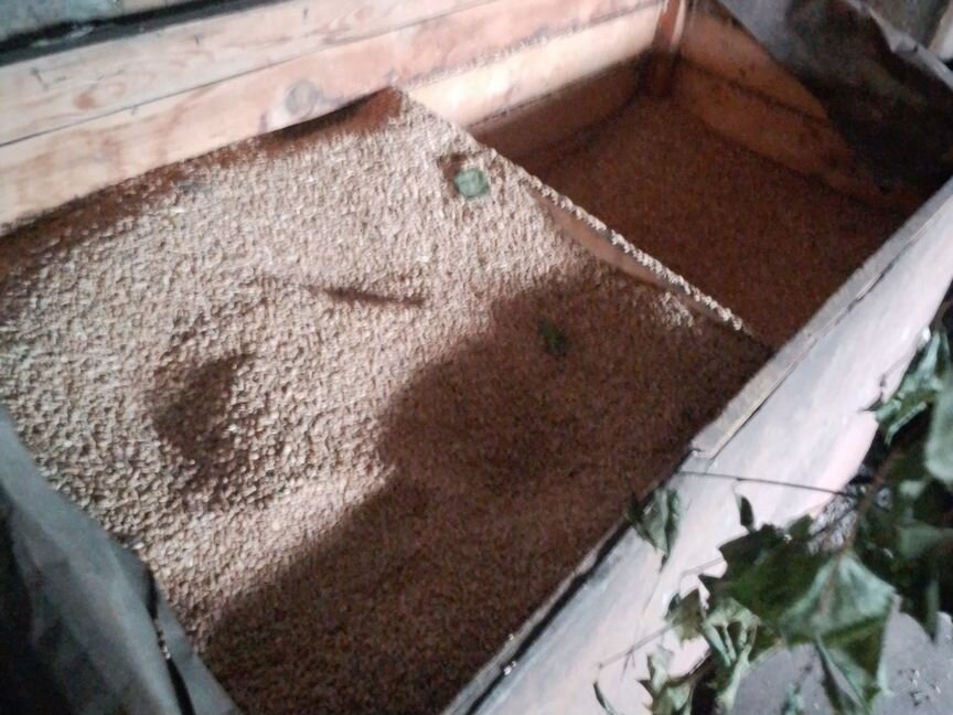 Продам зирно/овес