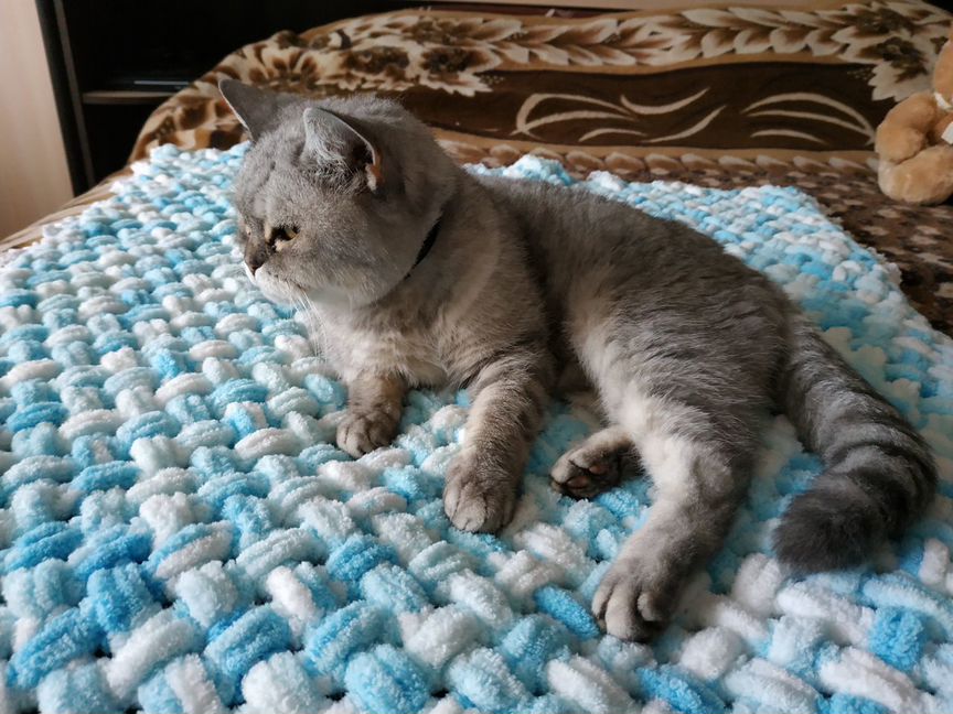 Плед-лежанка для кошек и собак