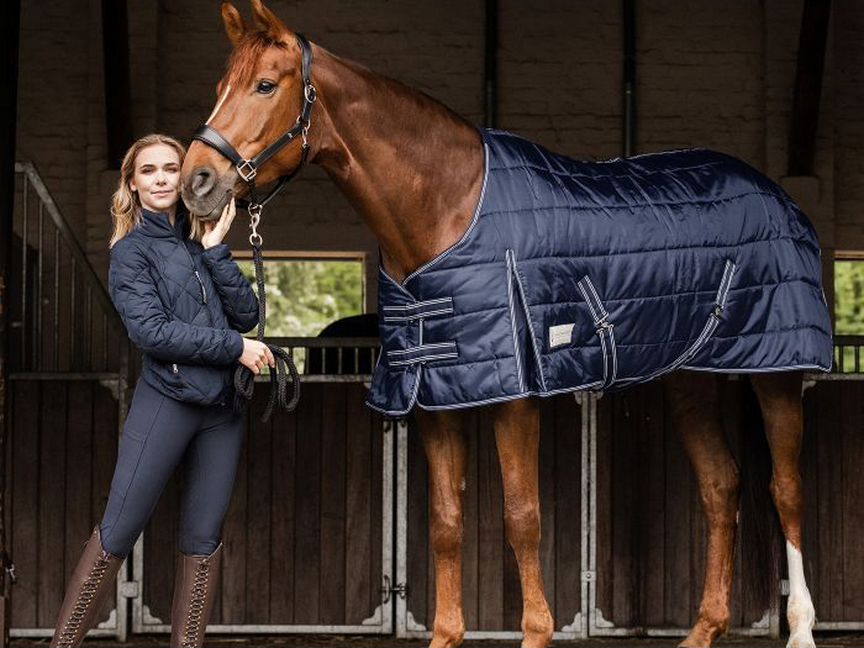 Попона для лошади
