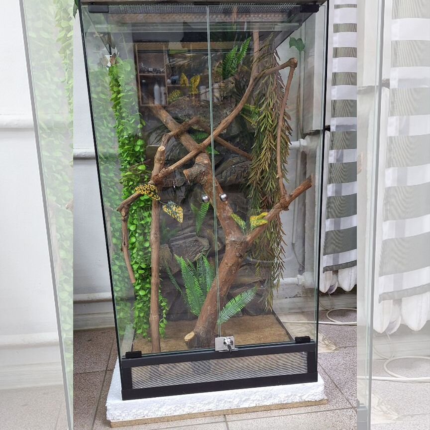 Террариум для хамелеона большой