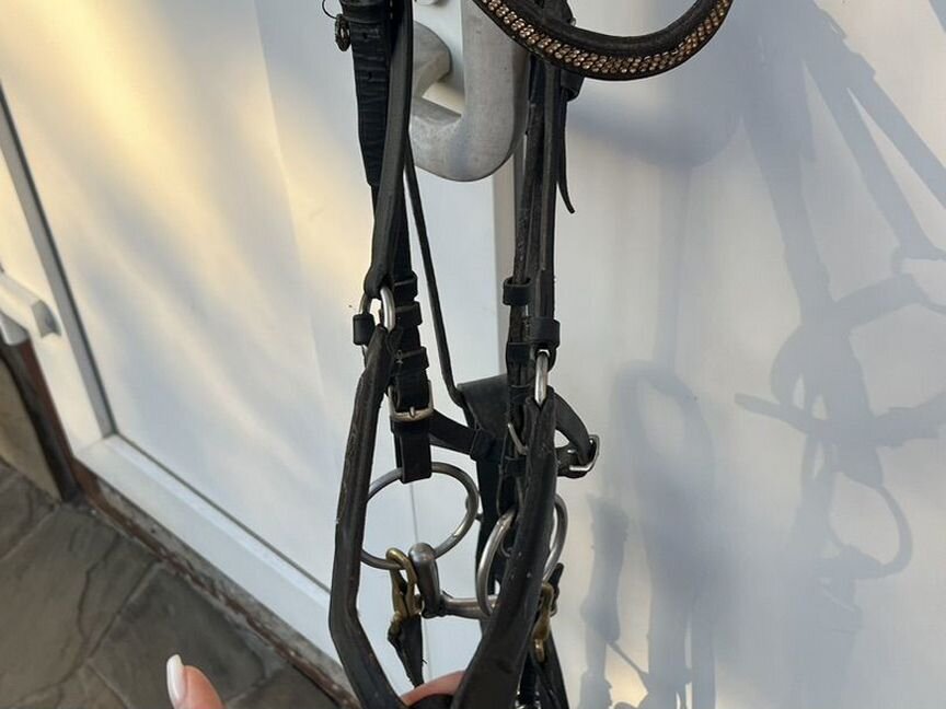 Уздечка для лошади