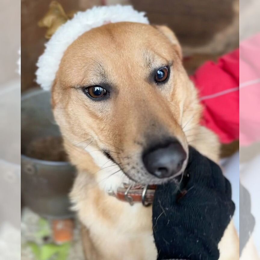 Молодой и озорной Артист украдет ваше сердце