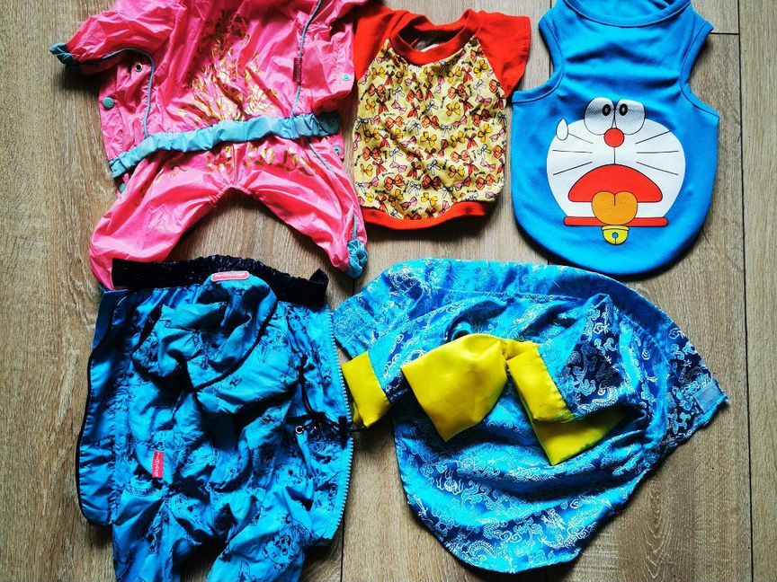 Вещи для маленькой собачки (щенка)