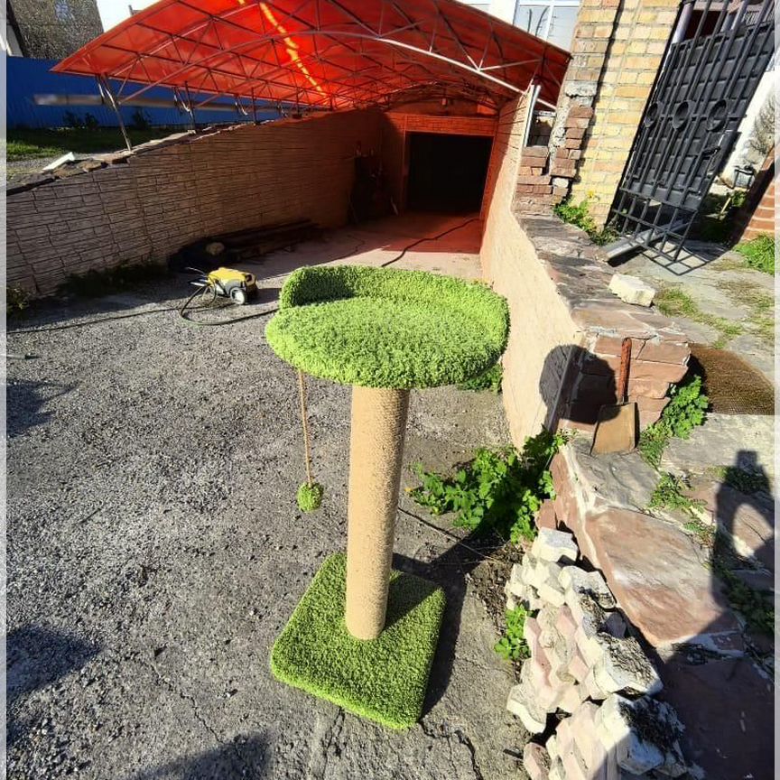 Когтеточка