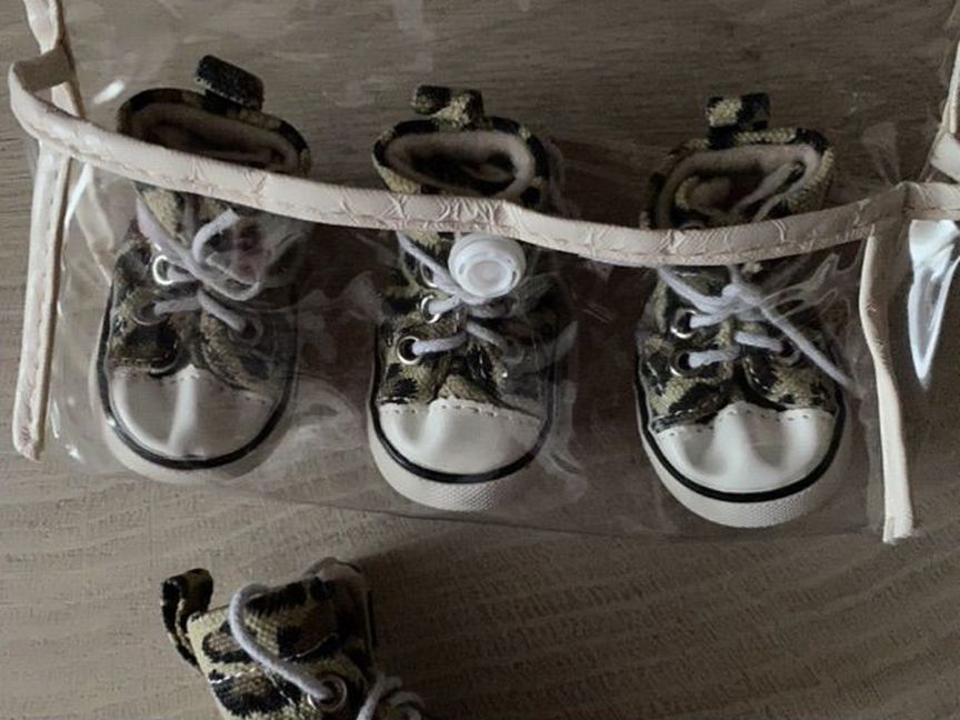 Кеды для собаки