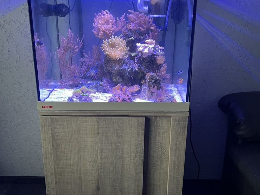 Аквариум Eheim 150л