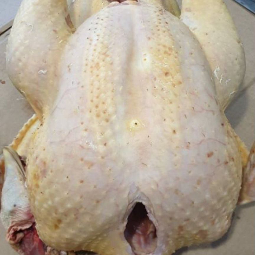 Продаю индюшек