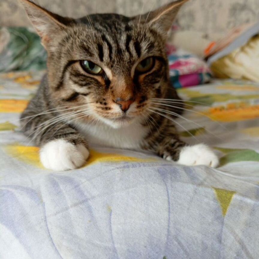 Нуждается в доме