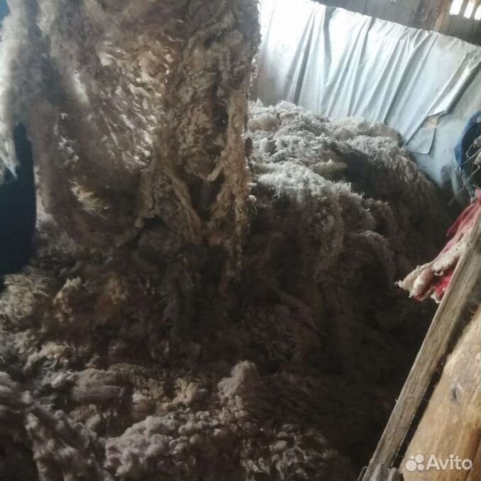 Шерсть овечья