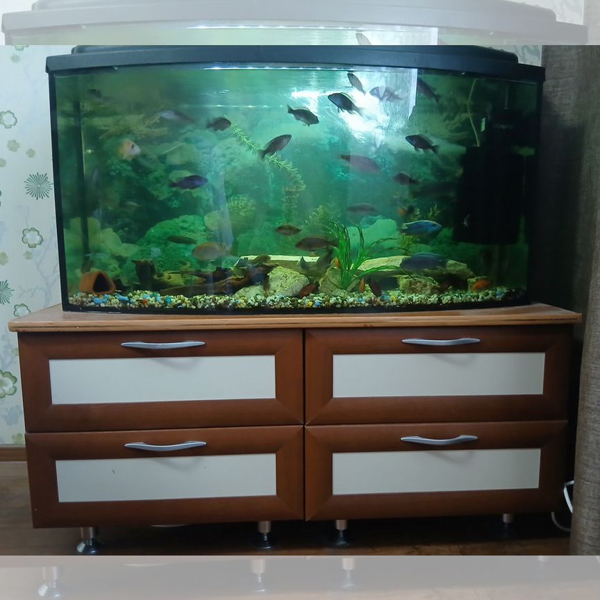 Аквариум с тумбой бу на 180литр