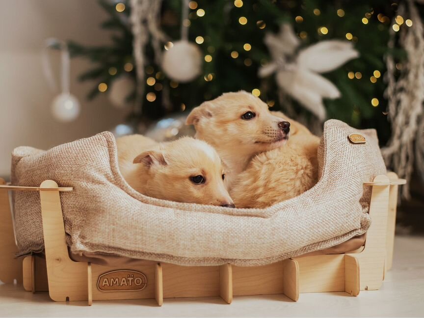 Лежанка для собак и кошек