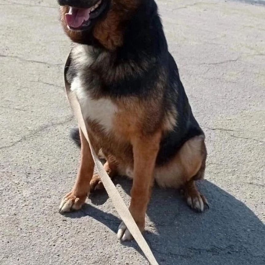 Альмавир ищет любящую семью