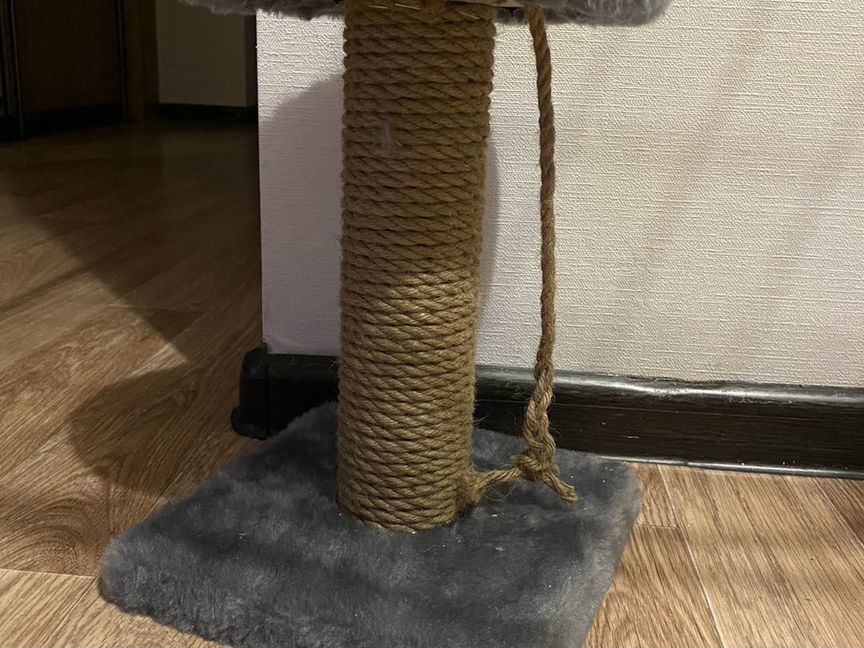 Когтеточка для котенка
