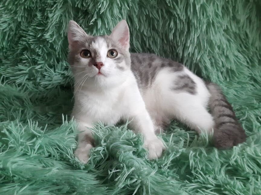 Просто Милашка