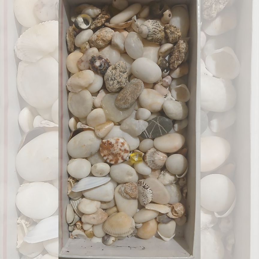 Ракушки, камешки для аквариума