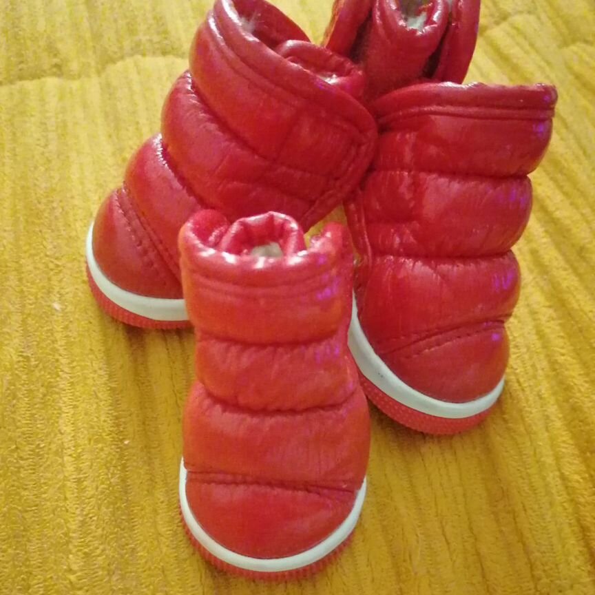 Обувь для маленьких собак