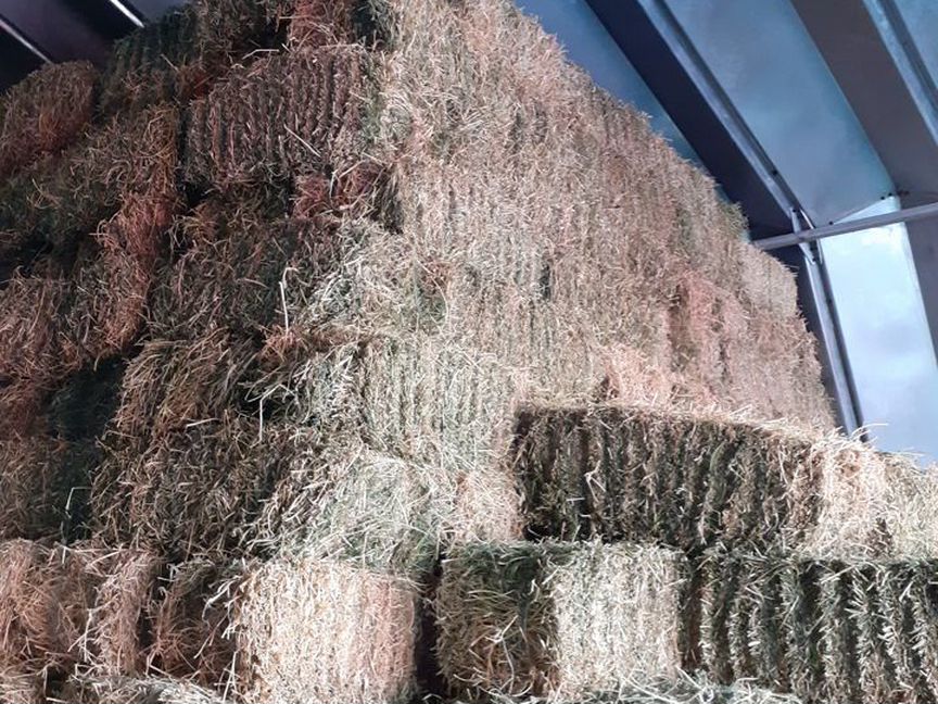 Сено люцерны, солома