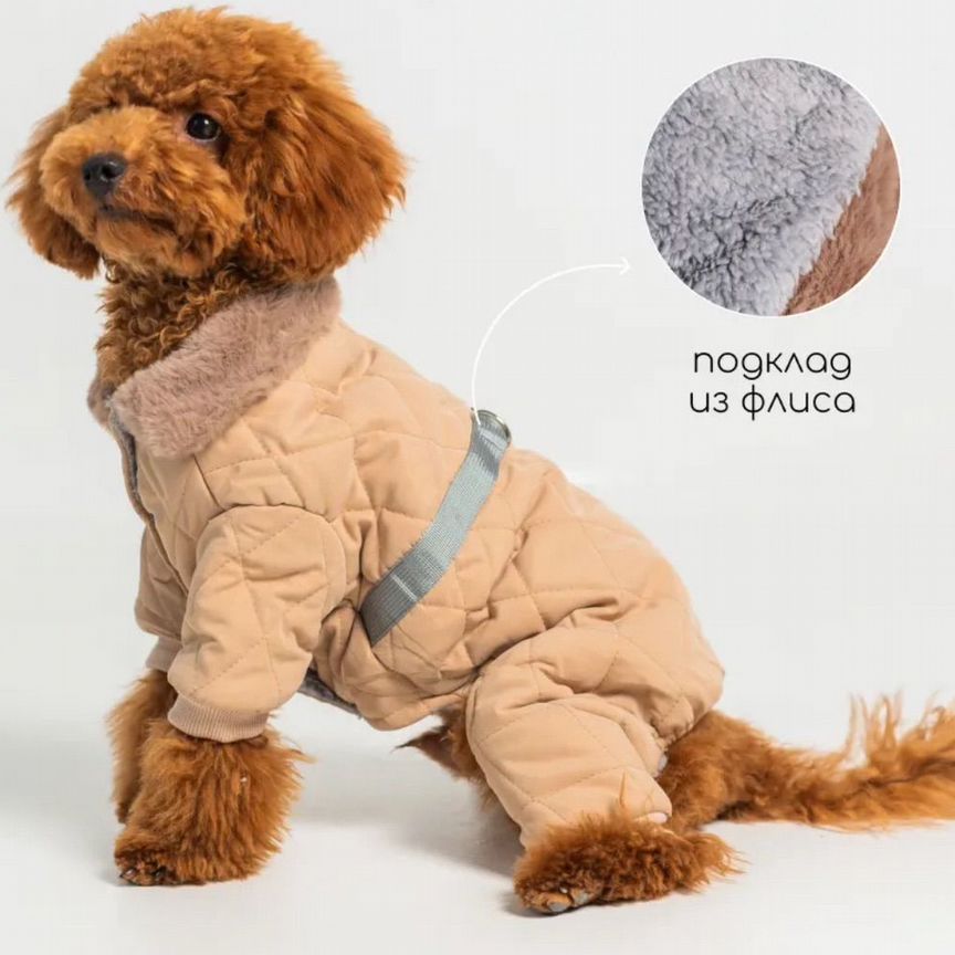 Зимний комбинезон для маленькой собаки