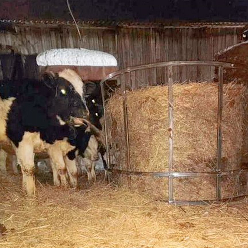 Кормушка для крс