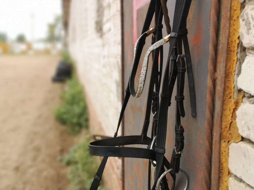 Уздечка для лошади Fouganza