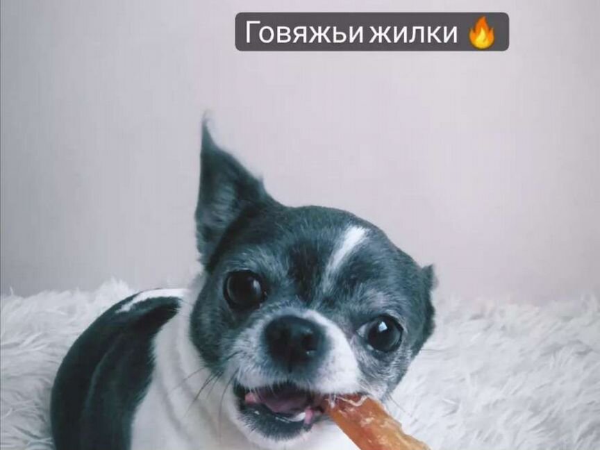 Натуральное полезное лакомство для собак