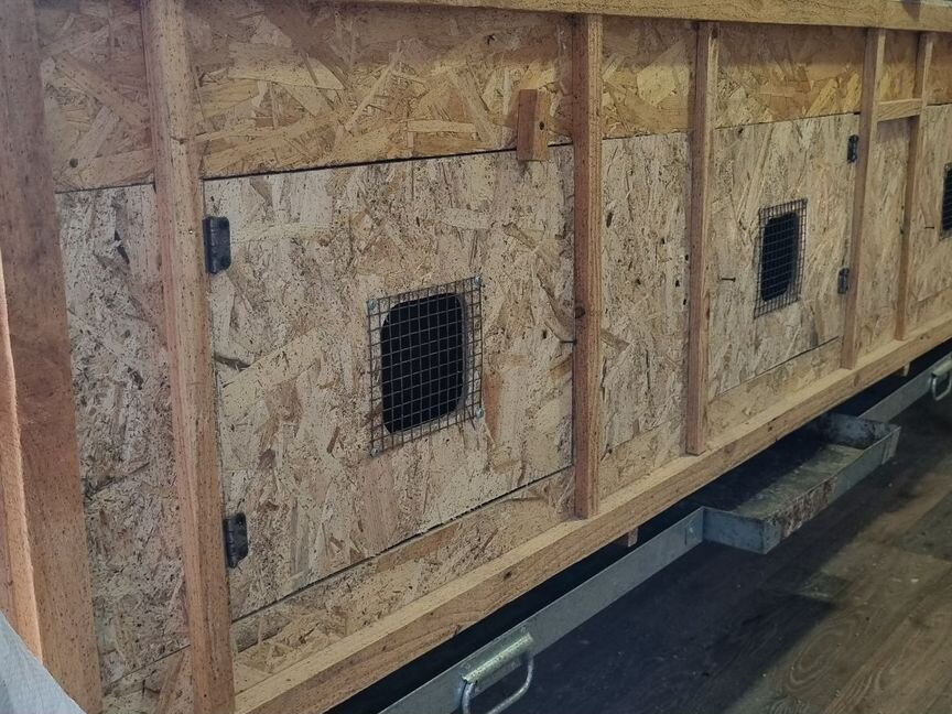 Брудер для цыплят бу