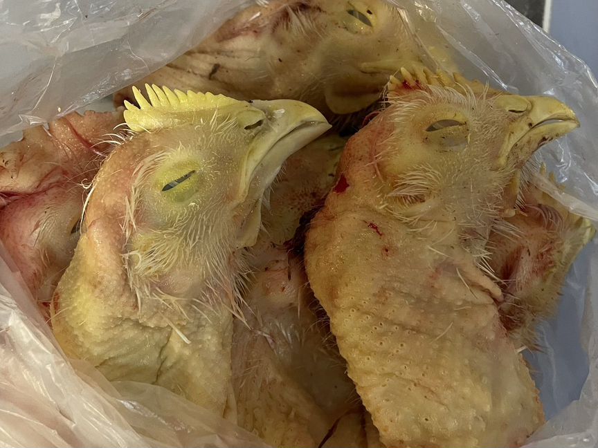 Лапки,головки