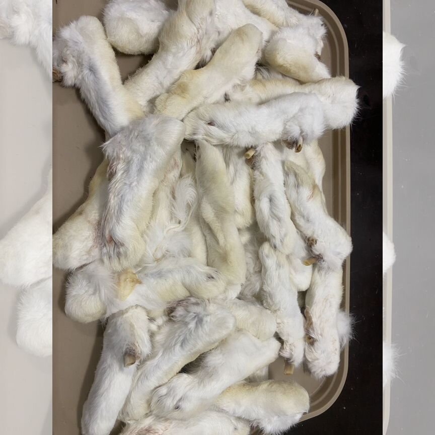 Лапы кролика сушенные