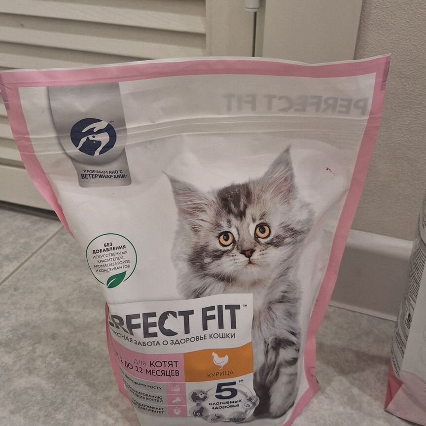 Сухой корм для котят