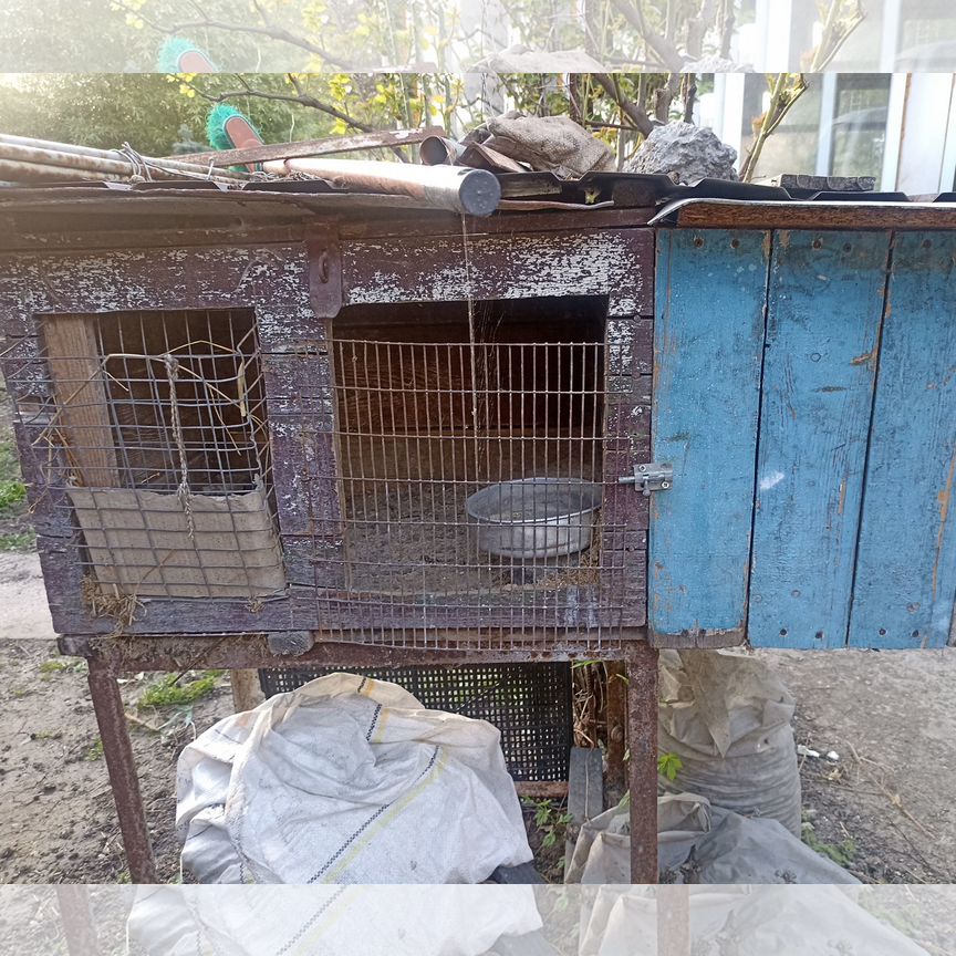 Клетки для кролей