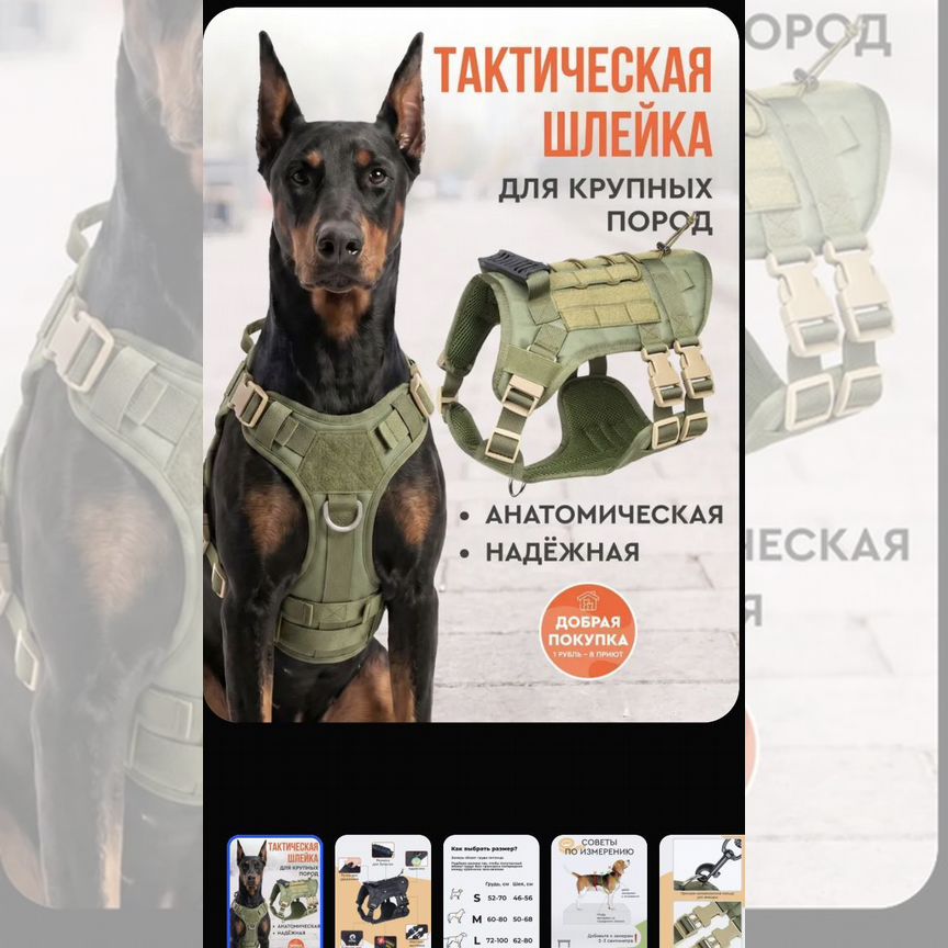 Шлейка для крупных собак
