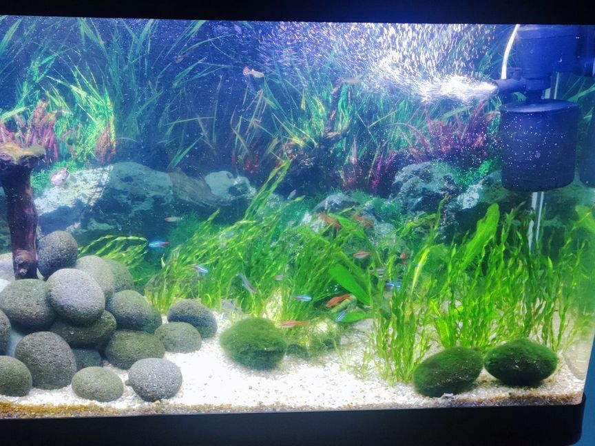 Акриловый аквариум с тумбой