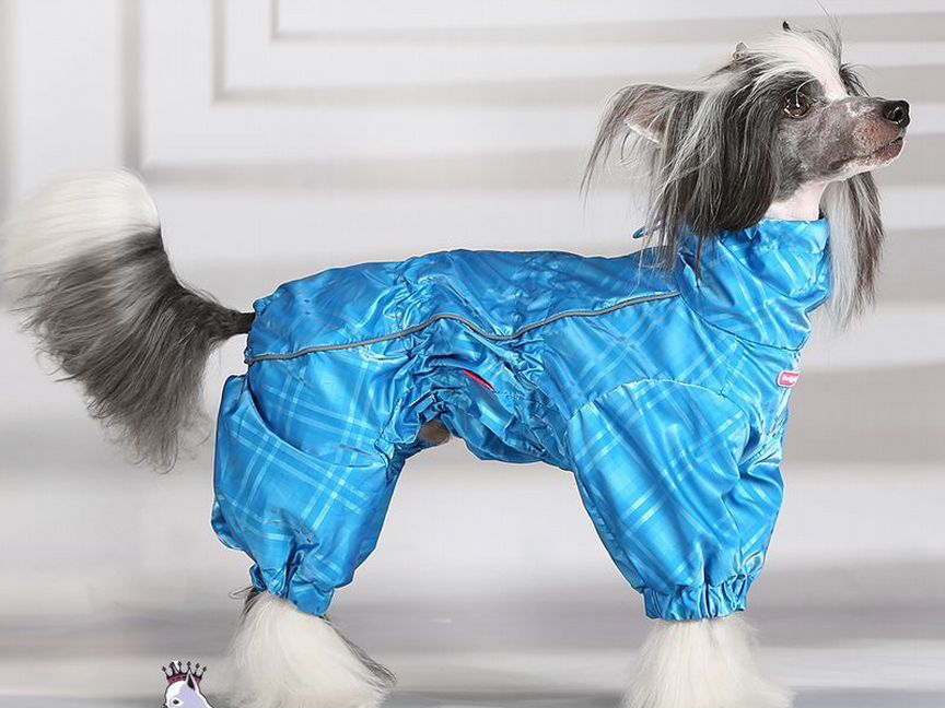 Новый дождевик на флисе для собак ForMyDogs