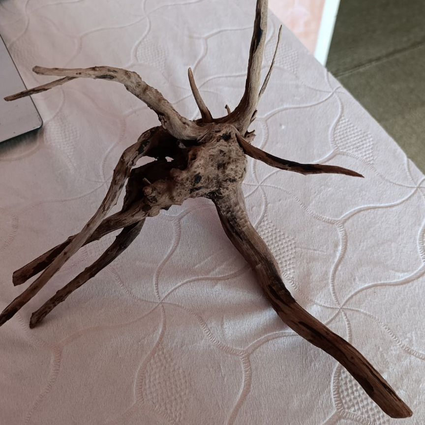 Коряга для аквариума бу