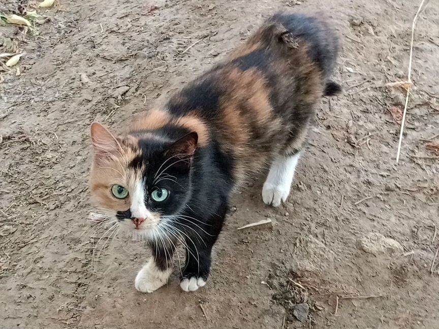 Красотка с бирюзовыми глазами плачет и хочет домой