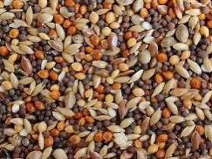 Корм для канареек