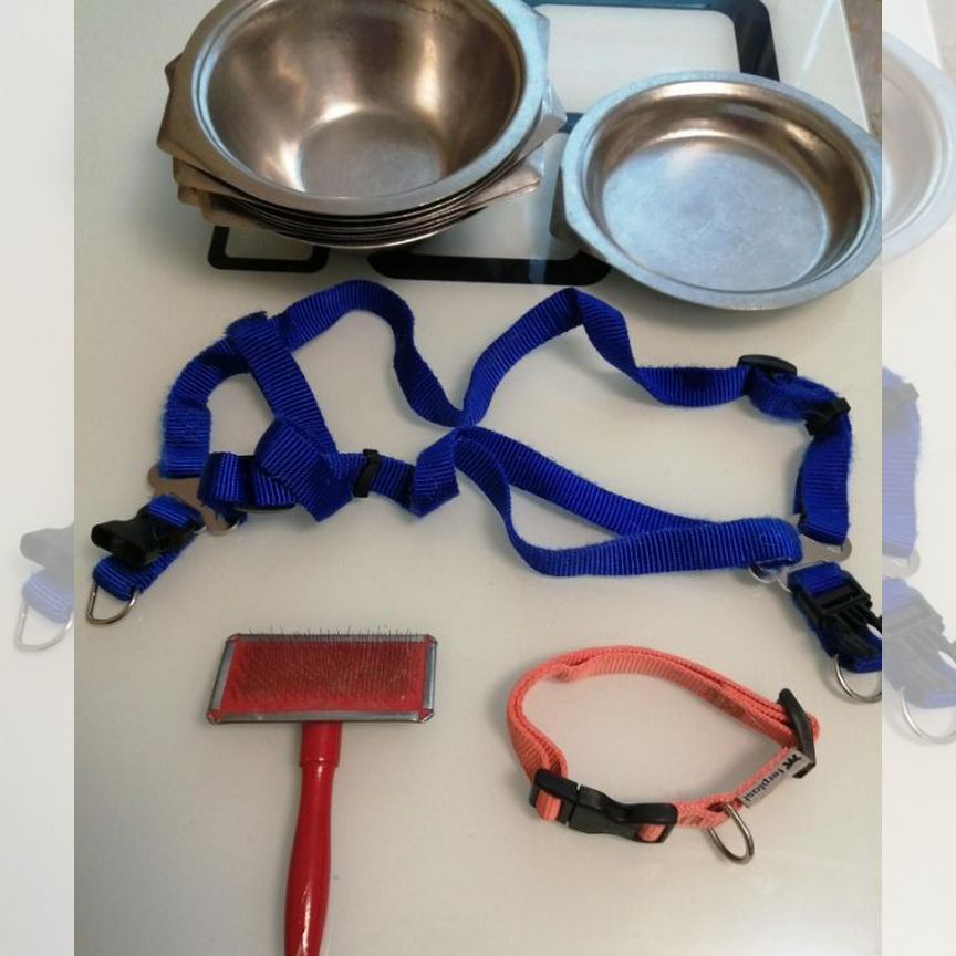 Товары для животных