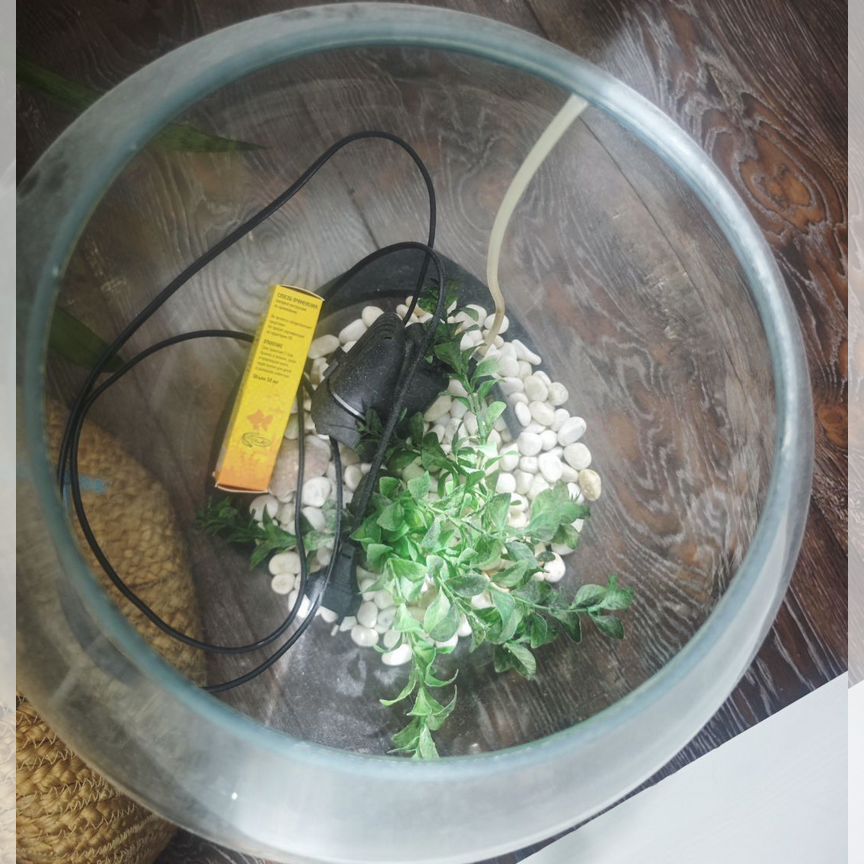 Аквариум для рыбок круглый